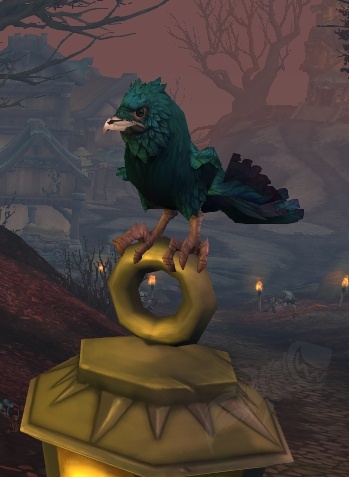 Coastal Raven - NPC - World of Warcraft