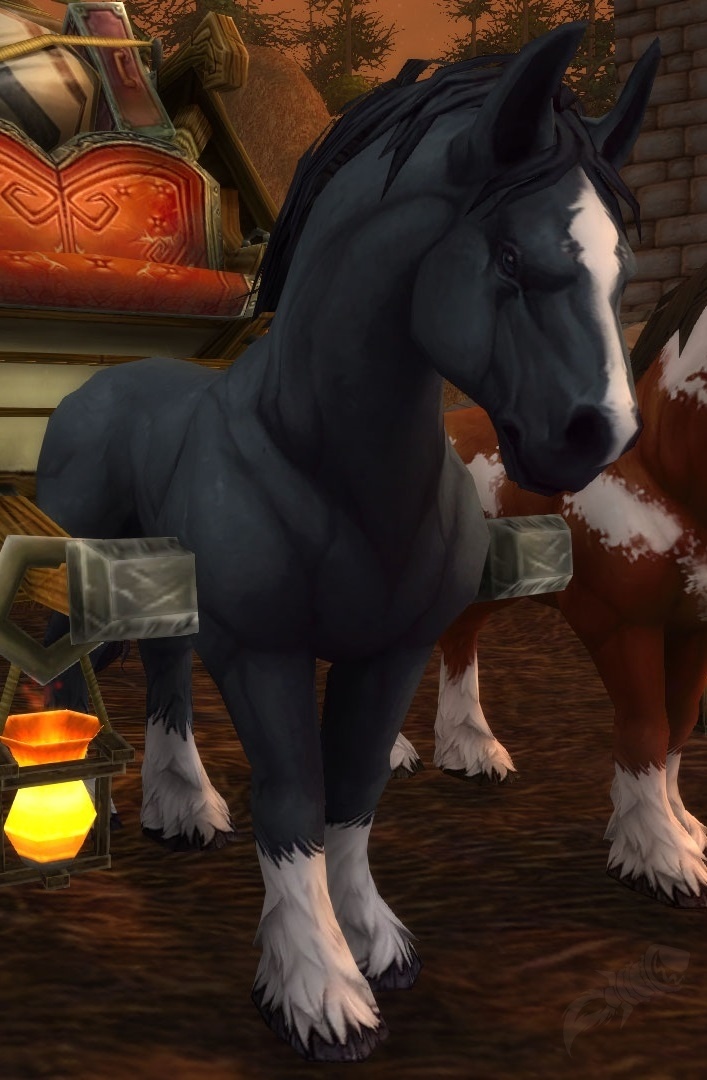 Preston - NPC - World of Warcraft