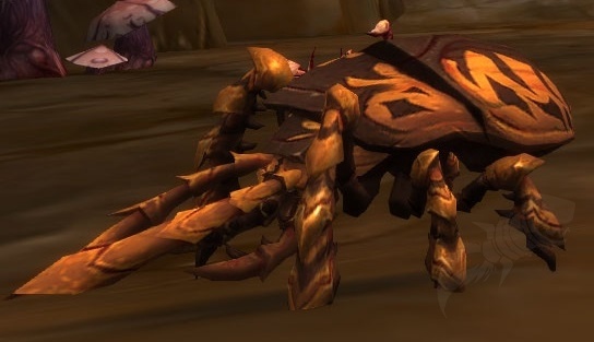 Beetle - NPC - World of Warcraft