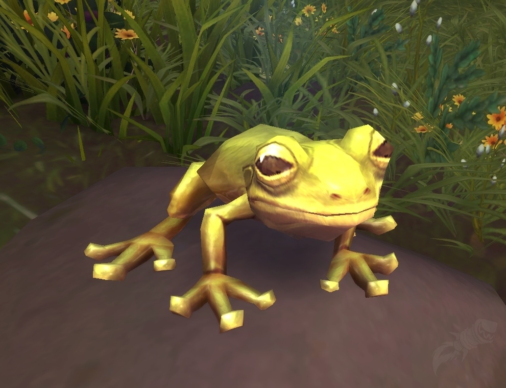 Sapo do Rio - PNJ - World of Warcraft