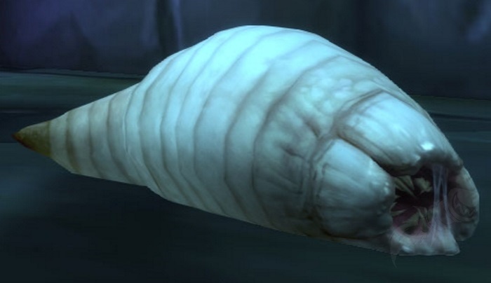 Asticot - PNJ - World of Warcraft