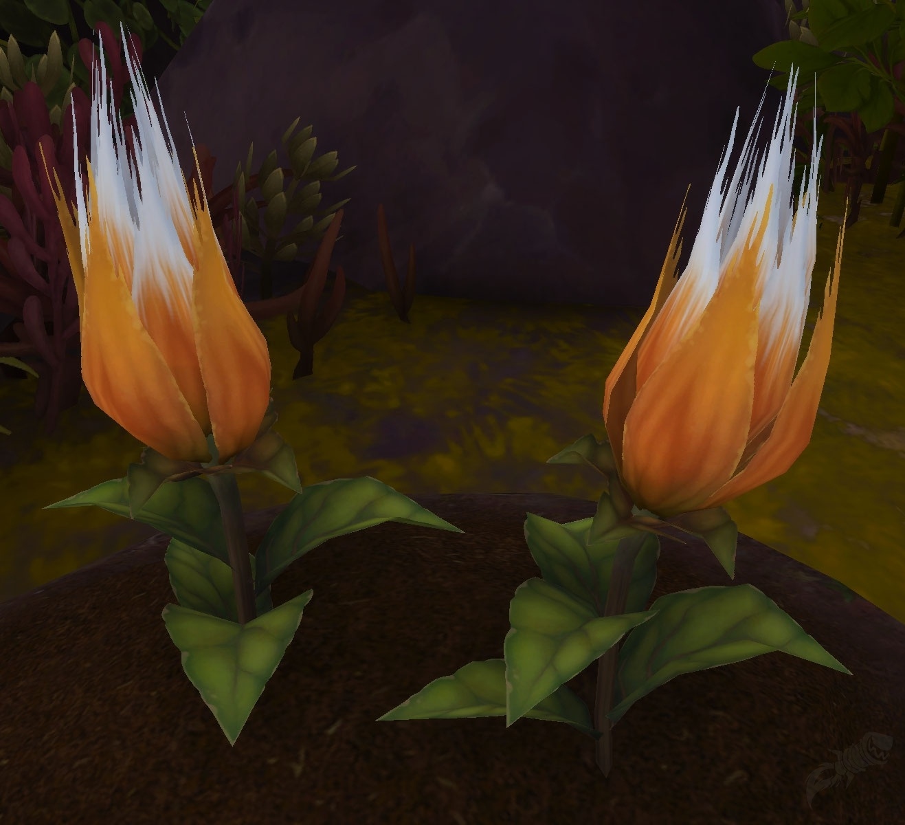 Oasis Bloom - NPC - World of Warcraft