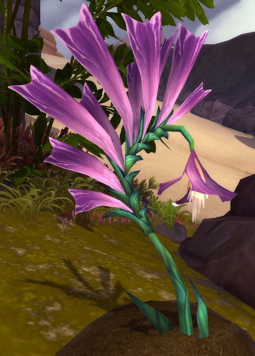 Oasis Bloom - NPC - World of Warcraft