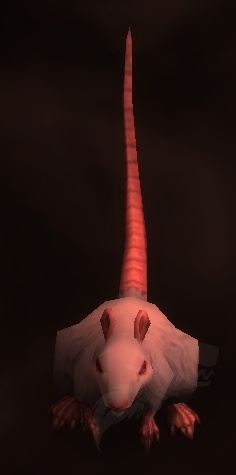 Plagued Rat - NPC - World of Warcraft
