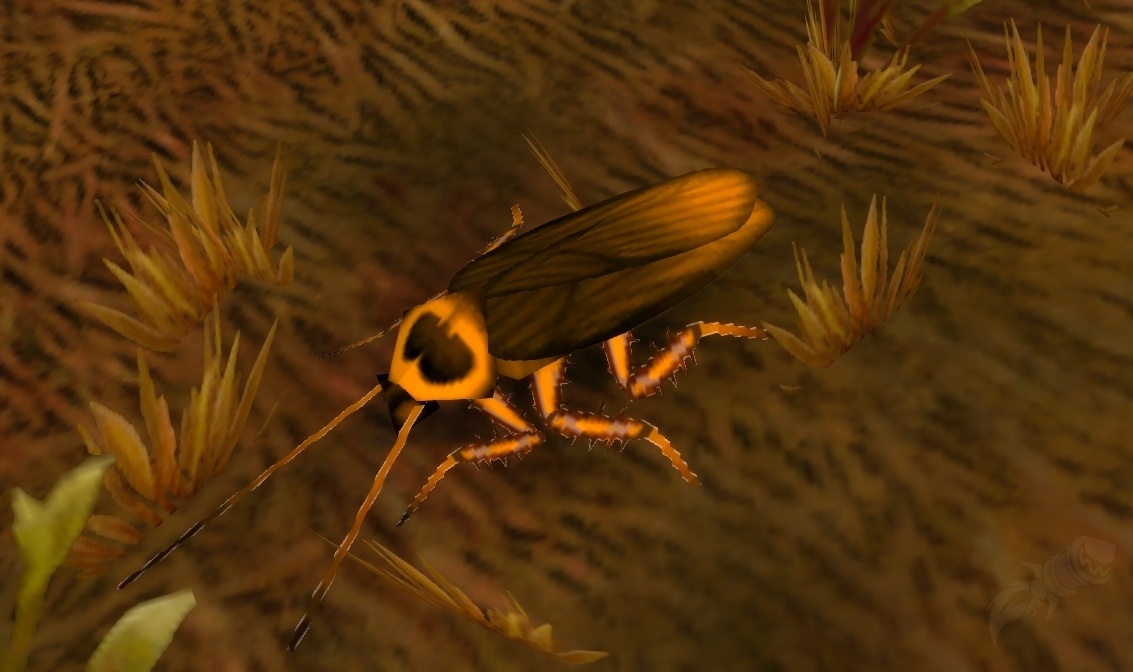 Polymorphed Cockroach - NPC - World of Warcraft