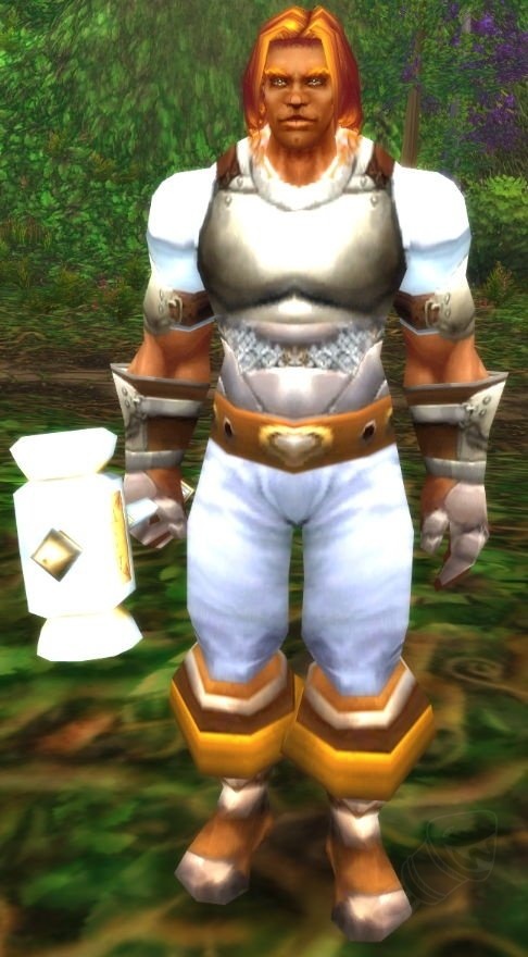 Delgren the Purifier - NPC - Classic World of Warcraft