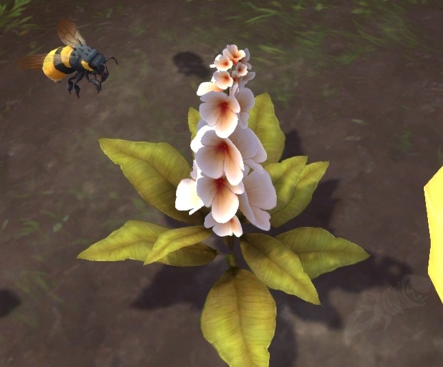 Declan's Potion of Plant Shape - Item - World of Warcraft