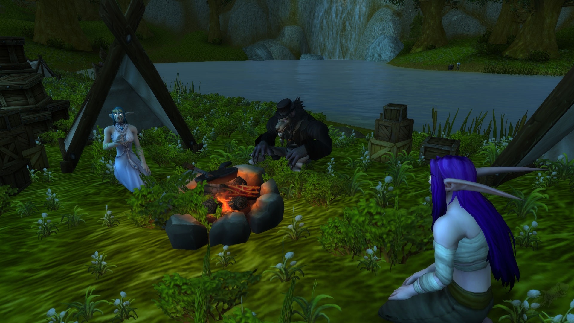 Darnassian Refugee - NPC - World of Warcraft