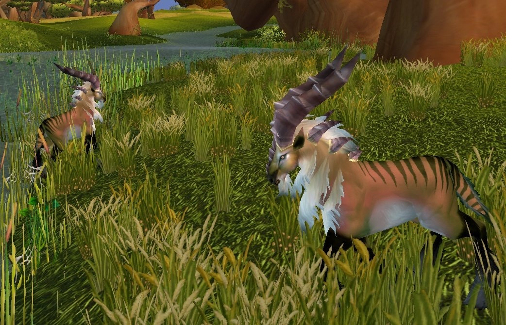 Talbuk Mastery - Quest - World of Warcraft