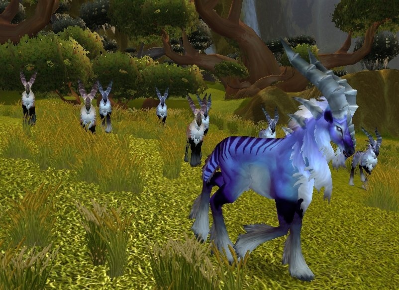 A caccia di talbuk - Missione - World of Warcraft