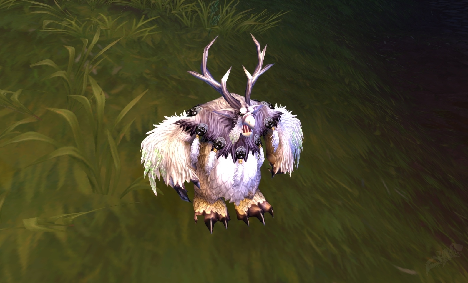 Angry Egg - Item - World of Warcraft