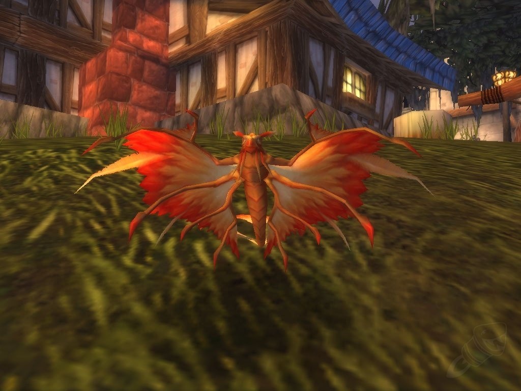 Golden Dragonhawk Hatchling - NPC - WotLK Classic