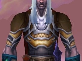 Tunic of the Ranger Lord - Item - Wrath Classic