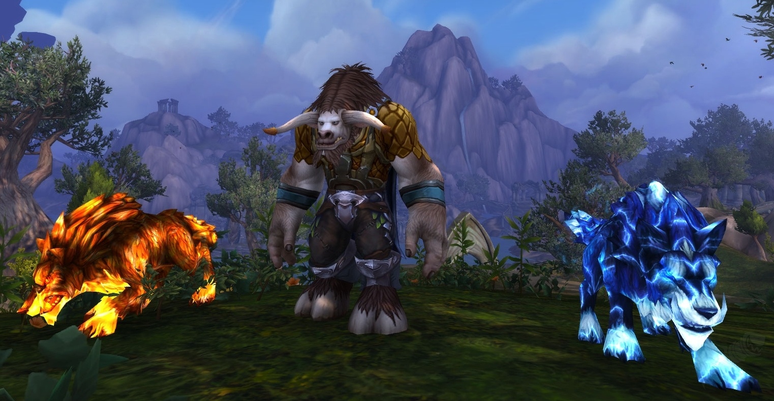 Spiriti Elementali - Magia - World of Warcraft