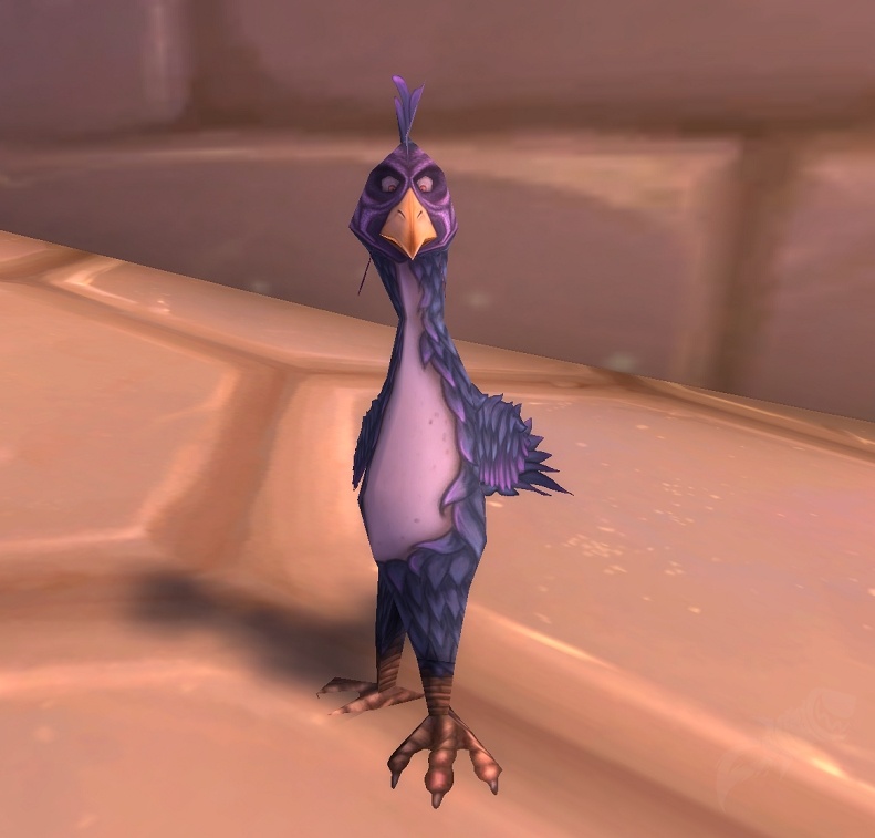 Pollo de matorral - PNJ - World of Warcraft