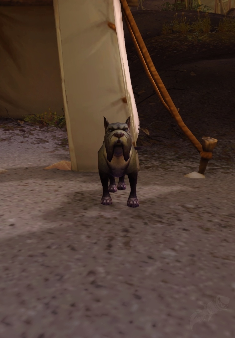 Babaz - PNJ - World of Warcraft