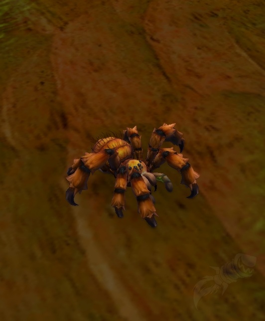 Redridge Tarantula - NPC - World of Warcraft