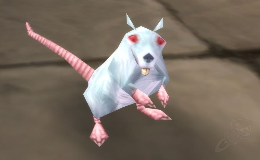 Moustaches le rat - PNJ - World of Warcraft Classic