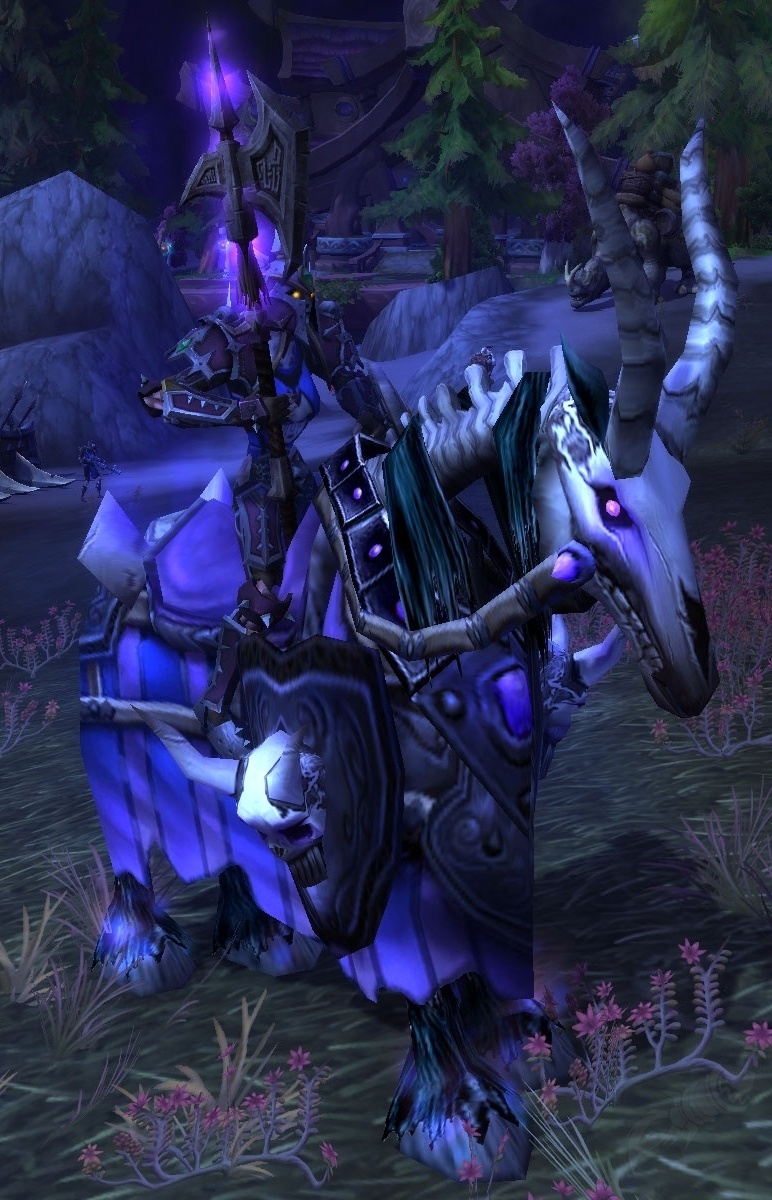 Lancer-Captain Blaer - NPC - World of Warcraft