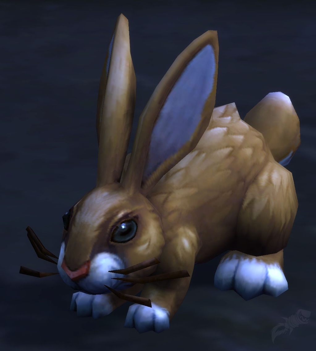 Conejo - PNJ - World of Warcraft