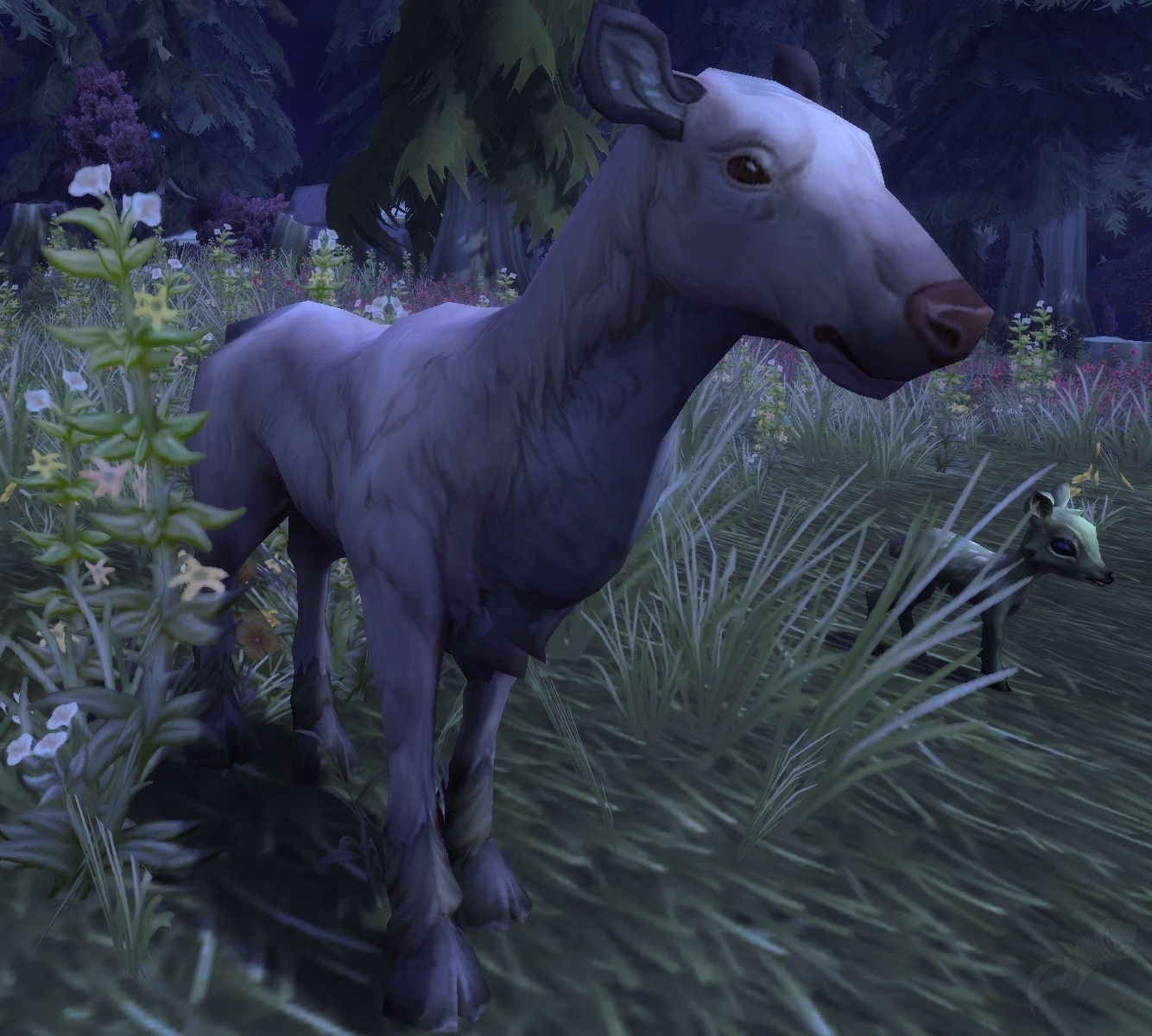 Whitetail Doe - NPC - World of Warcraft