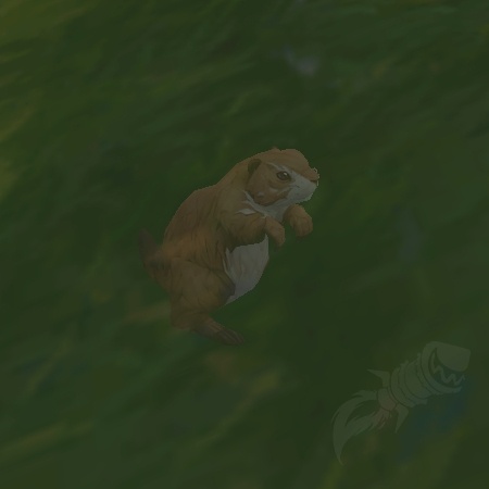 Sneaky Marmot - Item - World of Warcraft