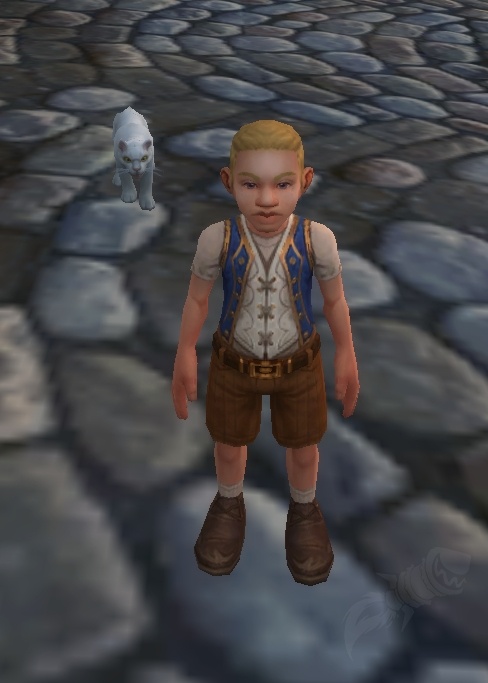 Klein Timmy - NPC - World of Warcraft