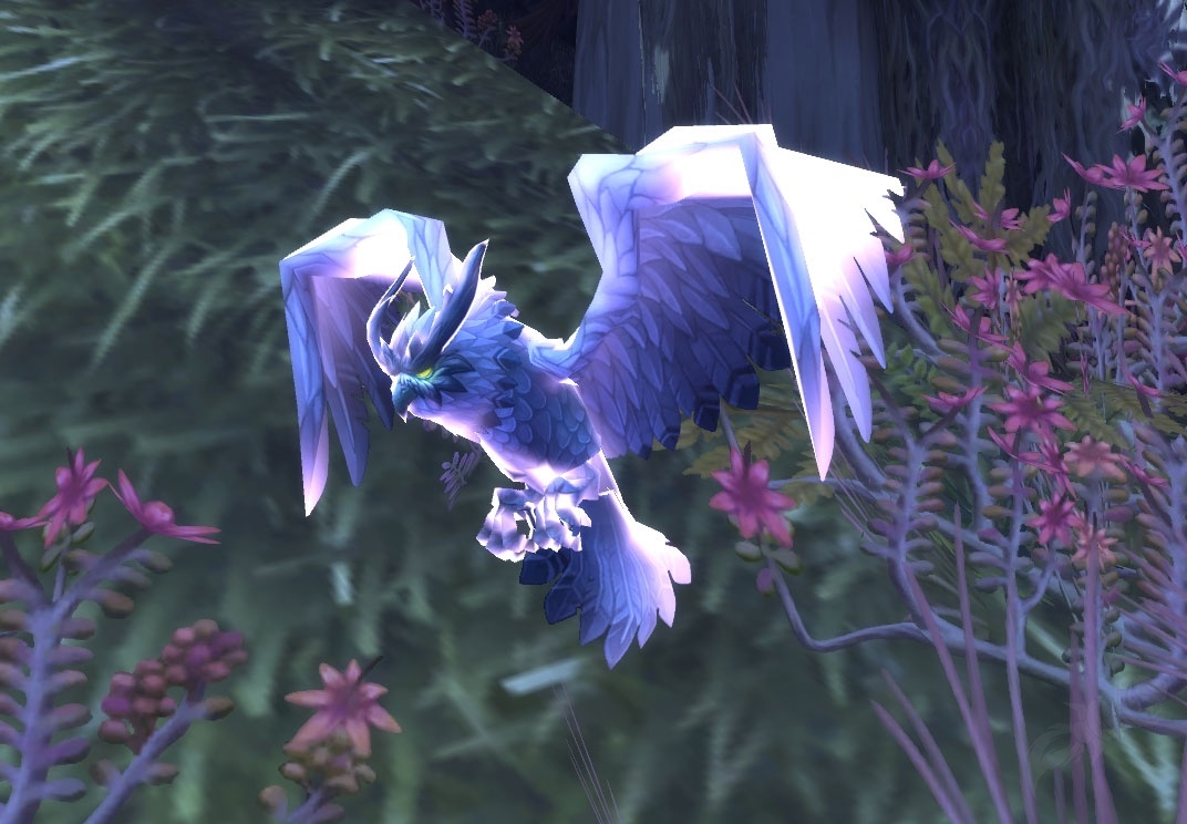 Nightwreathed Watcher - NPC - World of Warcraft