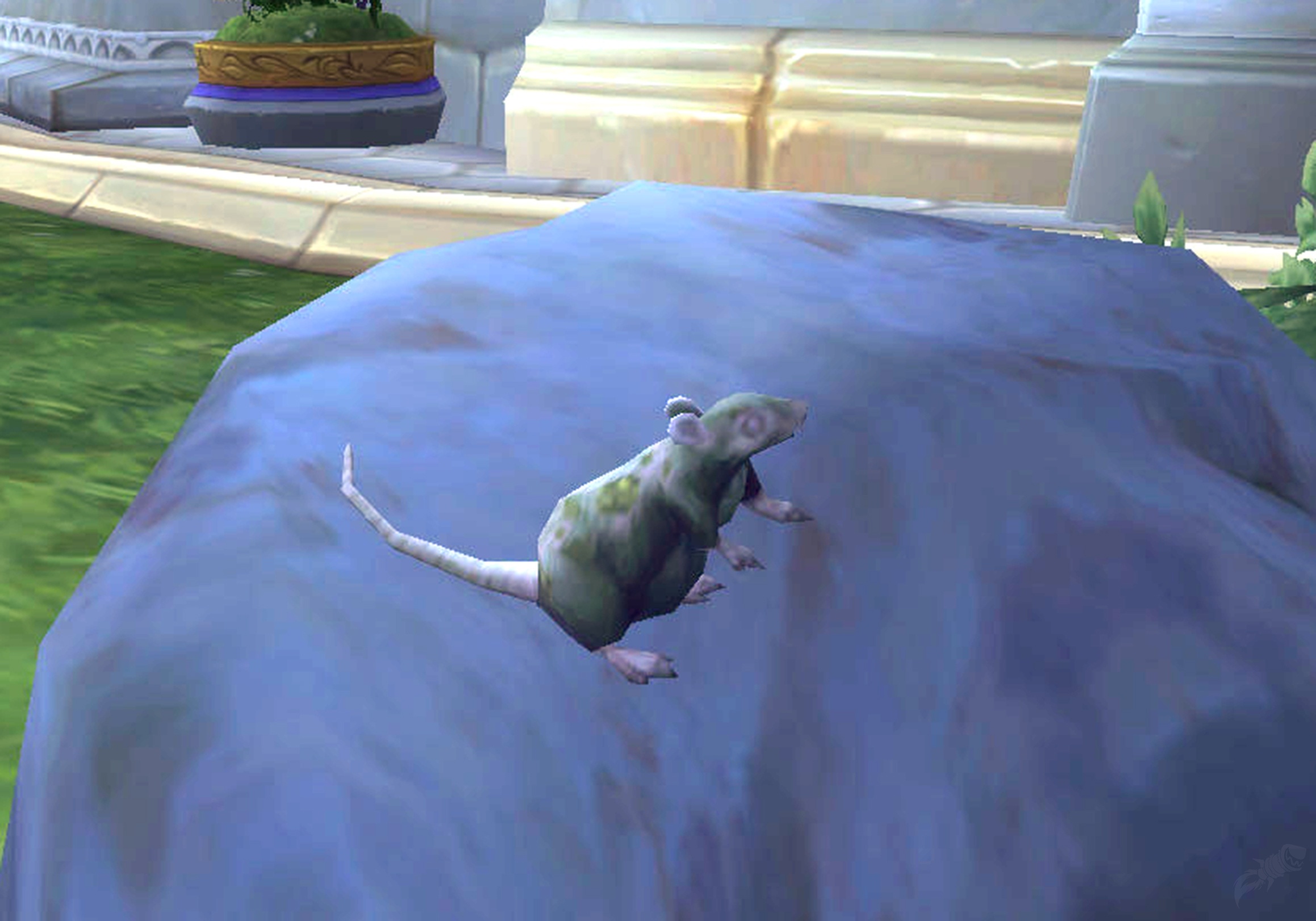 Leper Rat - NPC - World of Warcraft