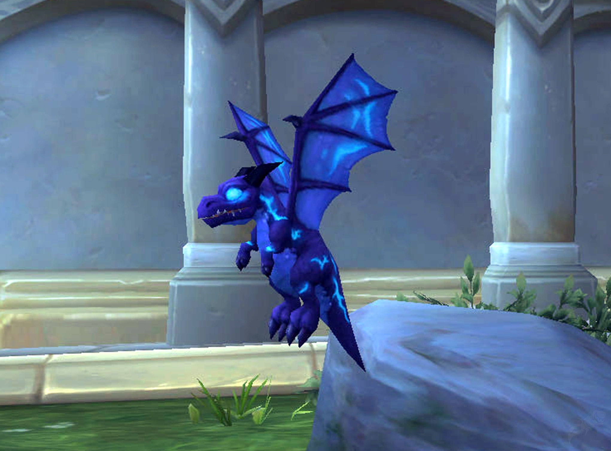 Thunderscale Whelpling - NPC - World of Warcraft