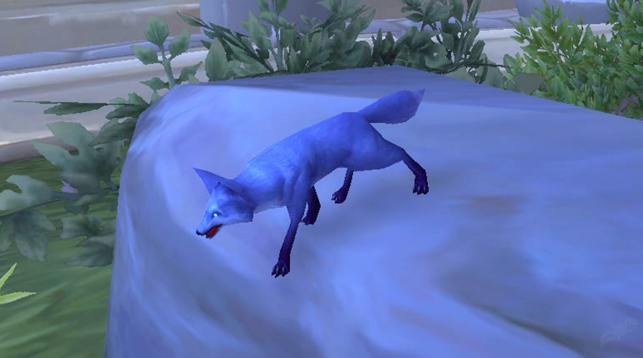 Scritches - NPC - World of Warcraft