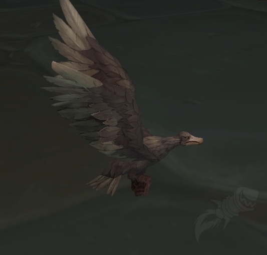 Albatross Hatchling - NPC - World of Warcraft