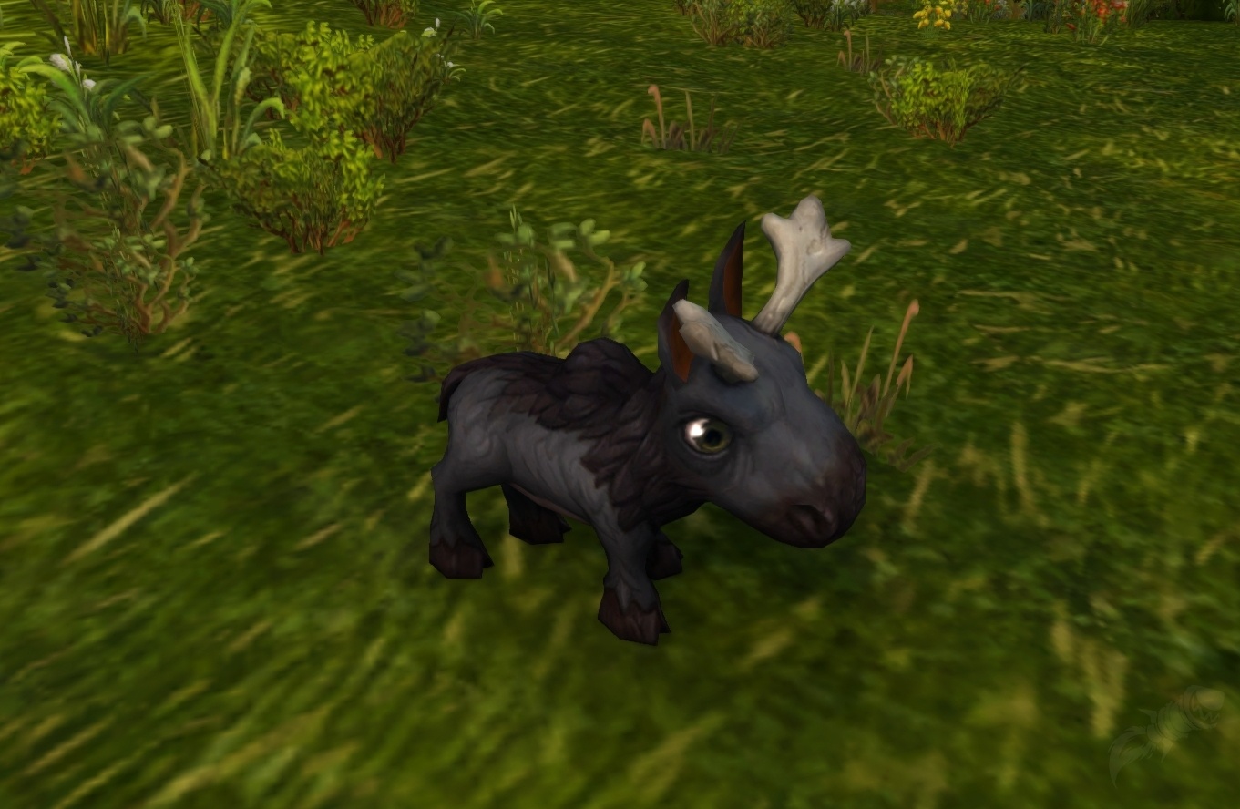 Baby Stonehide - Item - World of Warcraft