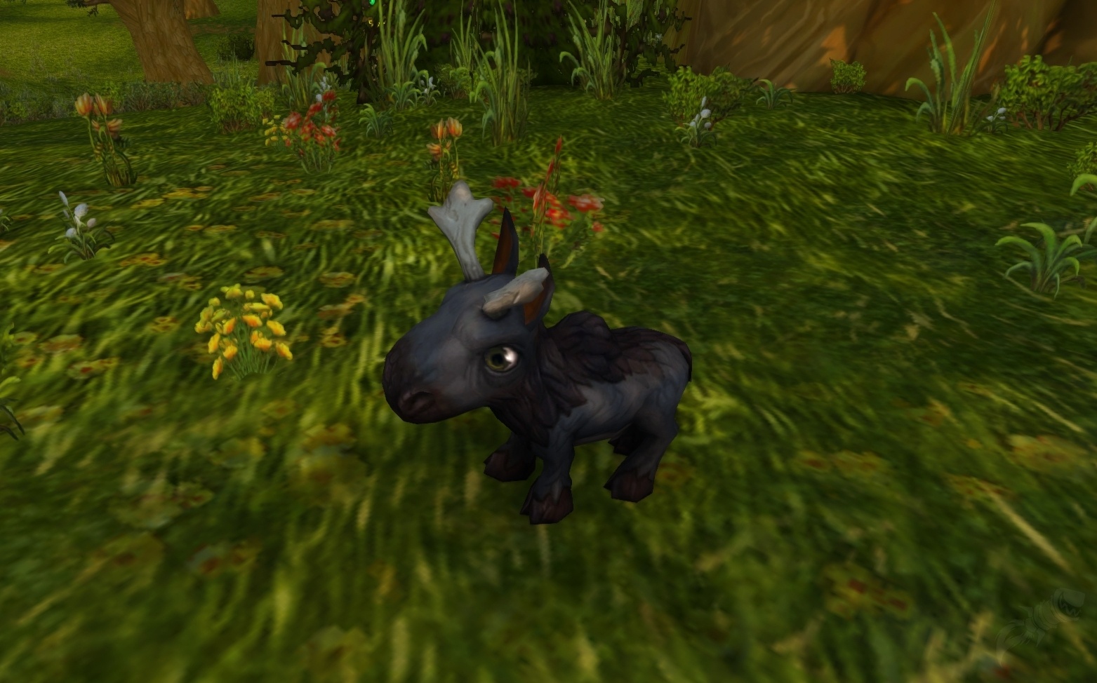 Baby Stonehide - NPC - World of Warcraft