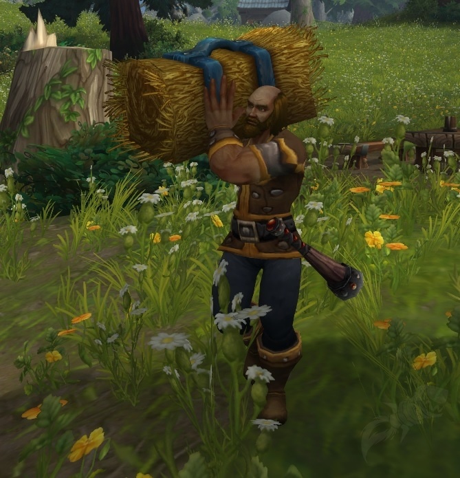 Highlands Laborer - NPC - World of Warcraft