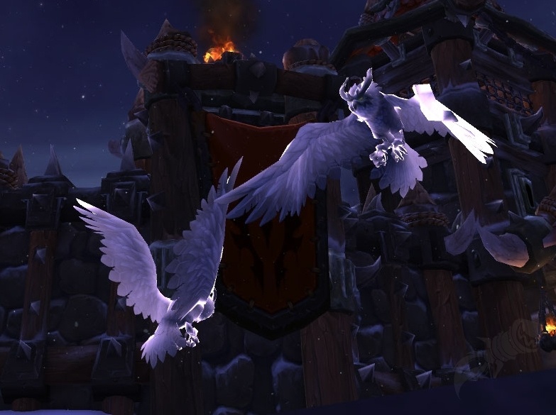 Nightwreathed Egg - Item - World of Warcraft