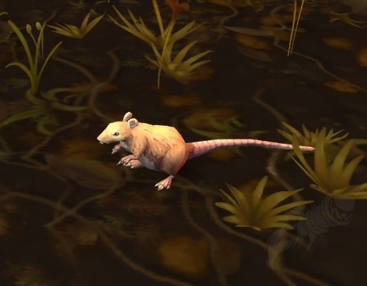 Lowland Rat - NPC - World of Warcraft