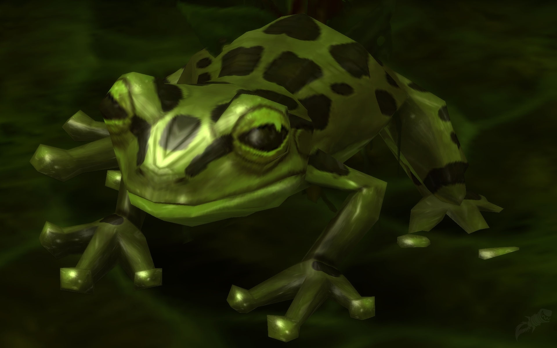 Quako - NPC - World of Warcraft