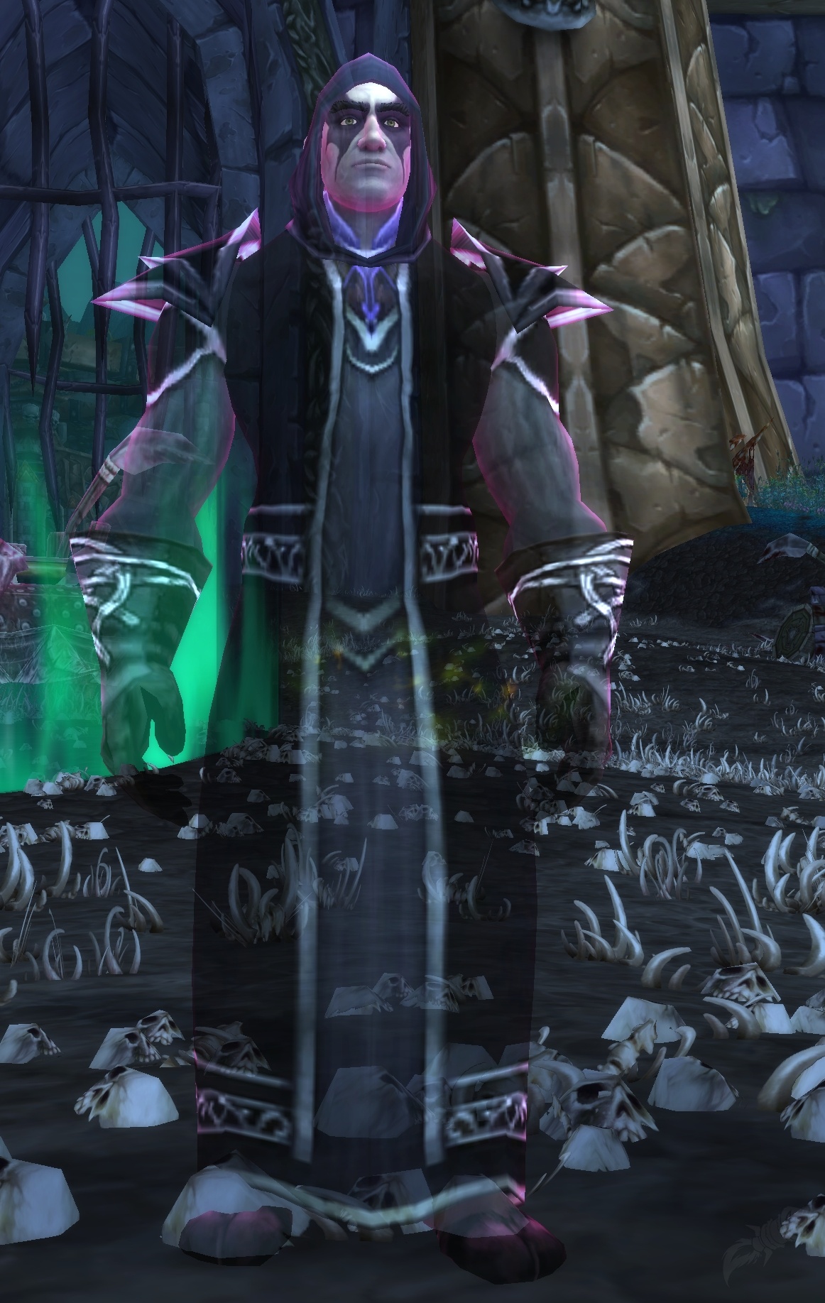 Nekrotisches Echo - NPC - World of Warcraft