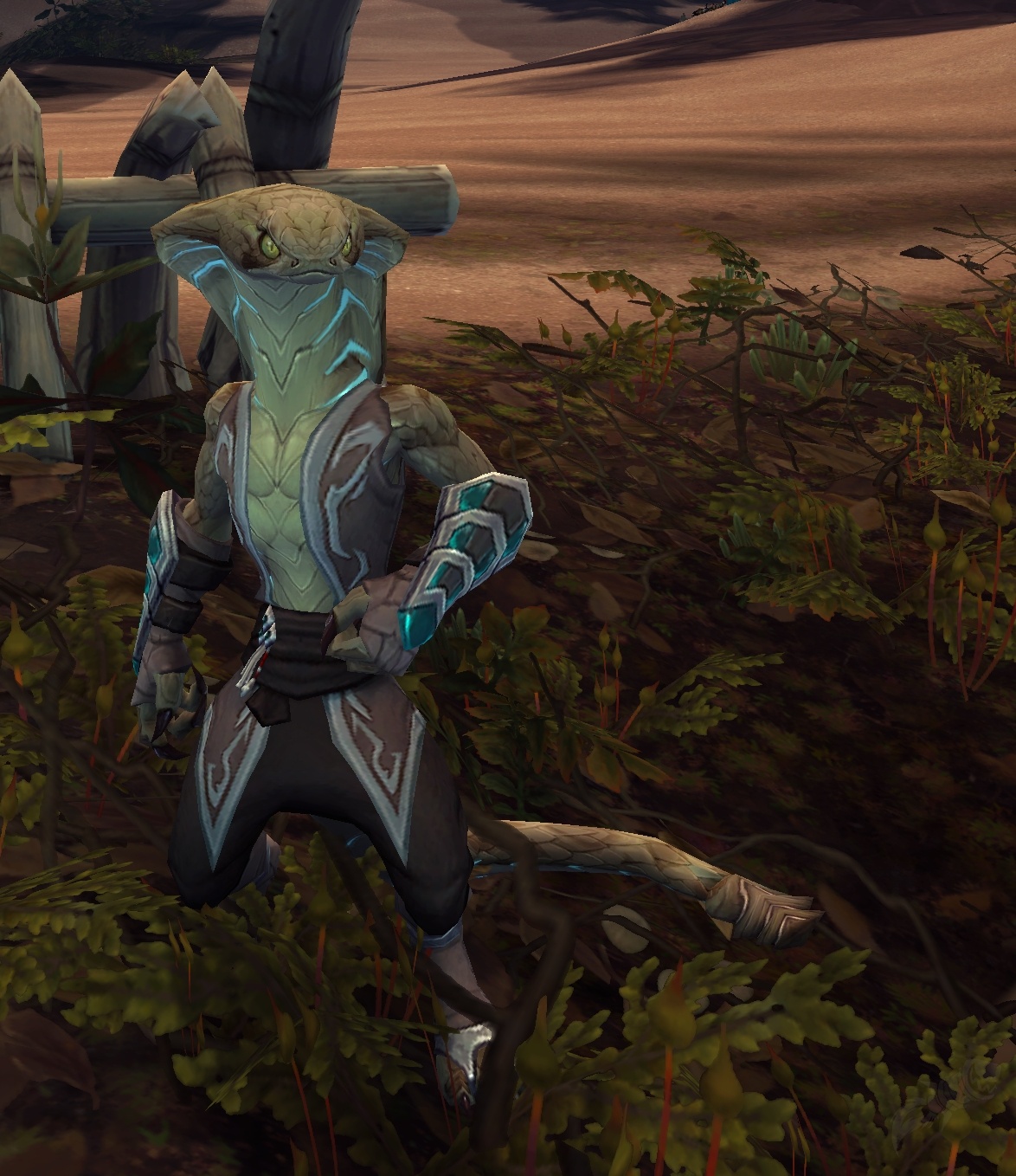 Assolador Sethrak - PNJ - World of Warcraft