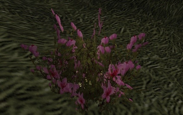 Mageroyal - Object - Classic World of Warcraft