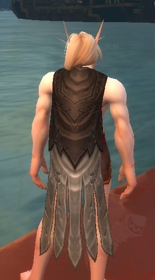 Drape of Valiant Defense - Item - World of Warcraft