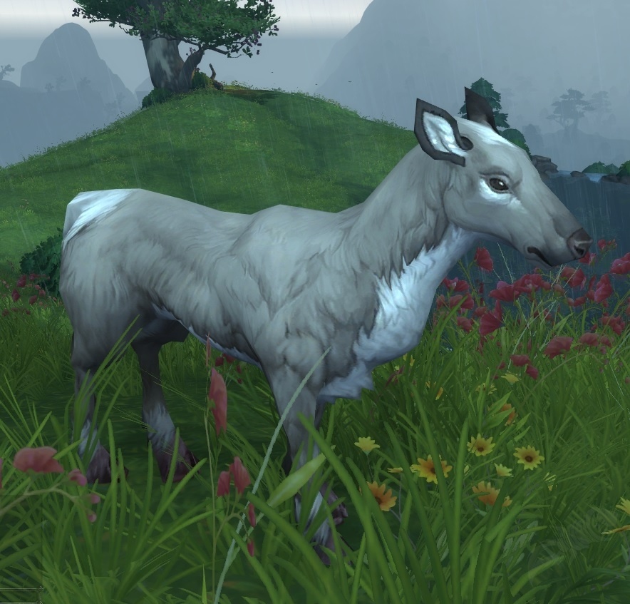 Riverland Doe - NPC - World of Warcraft