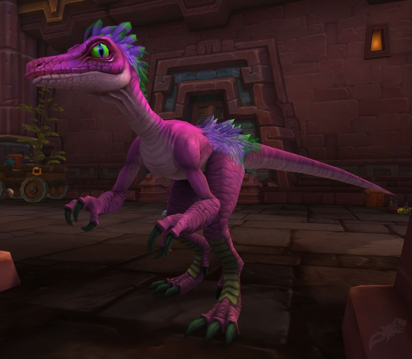 Jani - NPC - World of Warcraft