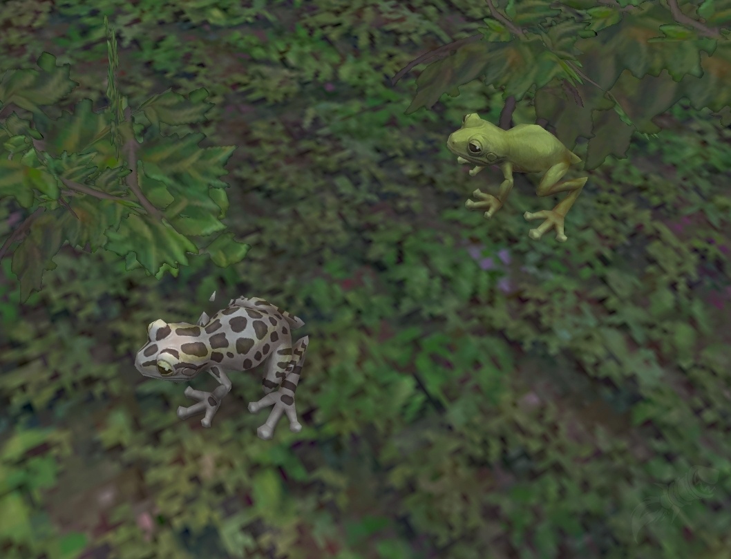Scalawag Frog - NPC - World of Warcraft