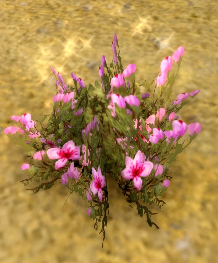 Mageroyal - Object - World of Warcraft