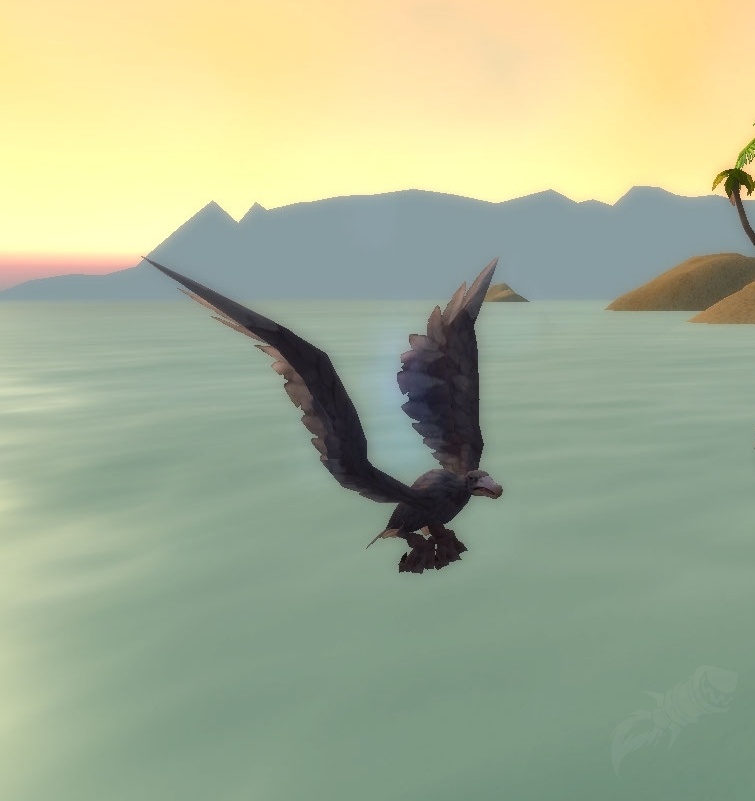 Filhote de Albatroz - Feitiço - World of Warcraft