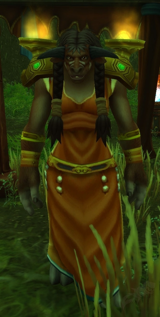 Vigilante de las llamas de Feralas - PNJ - World of Warcraft