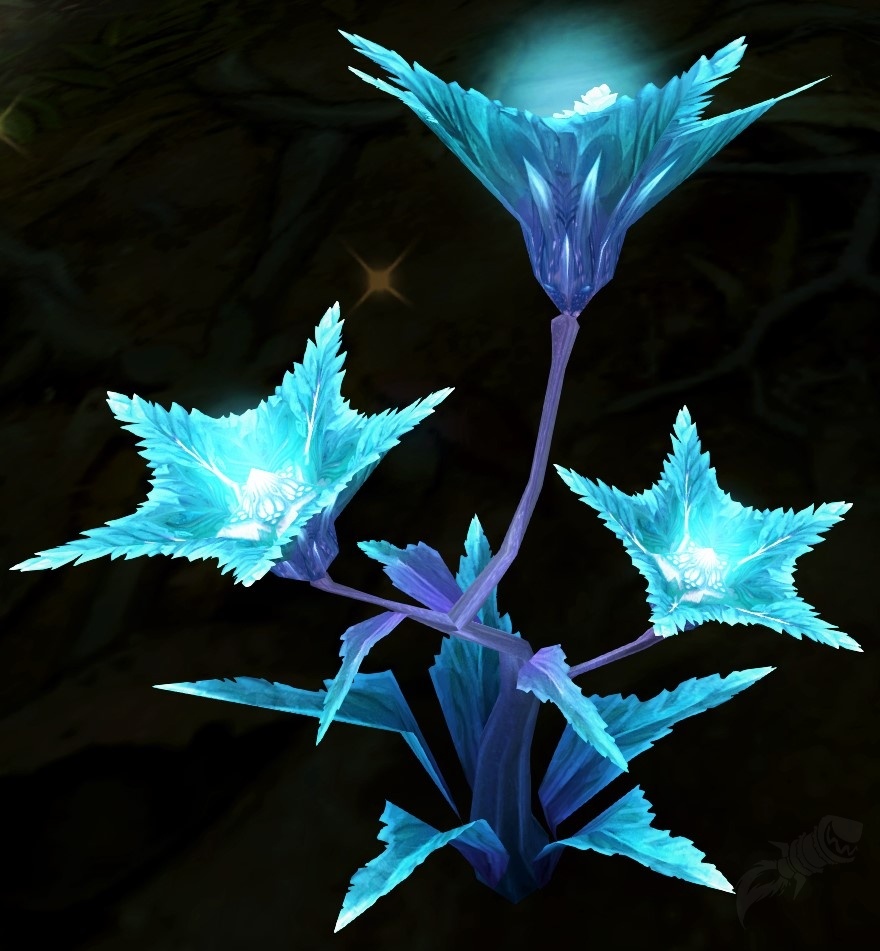 Starflower - Object - World of Warcraft