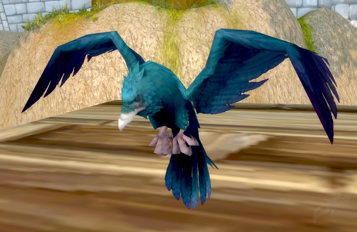 Cobalt Raven - NPC - World of Warcraft
